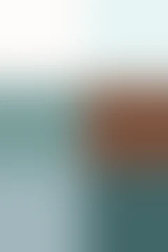 Chat with Nami - Flipped.Chat - AI Character Chatbot